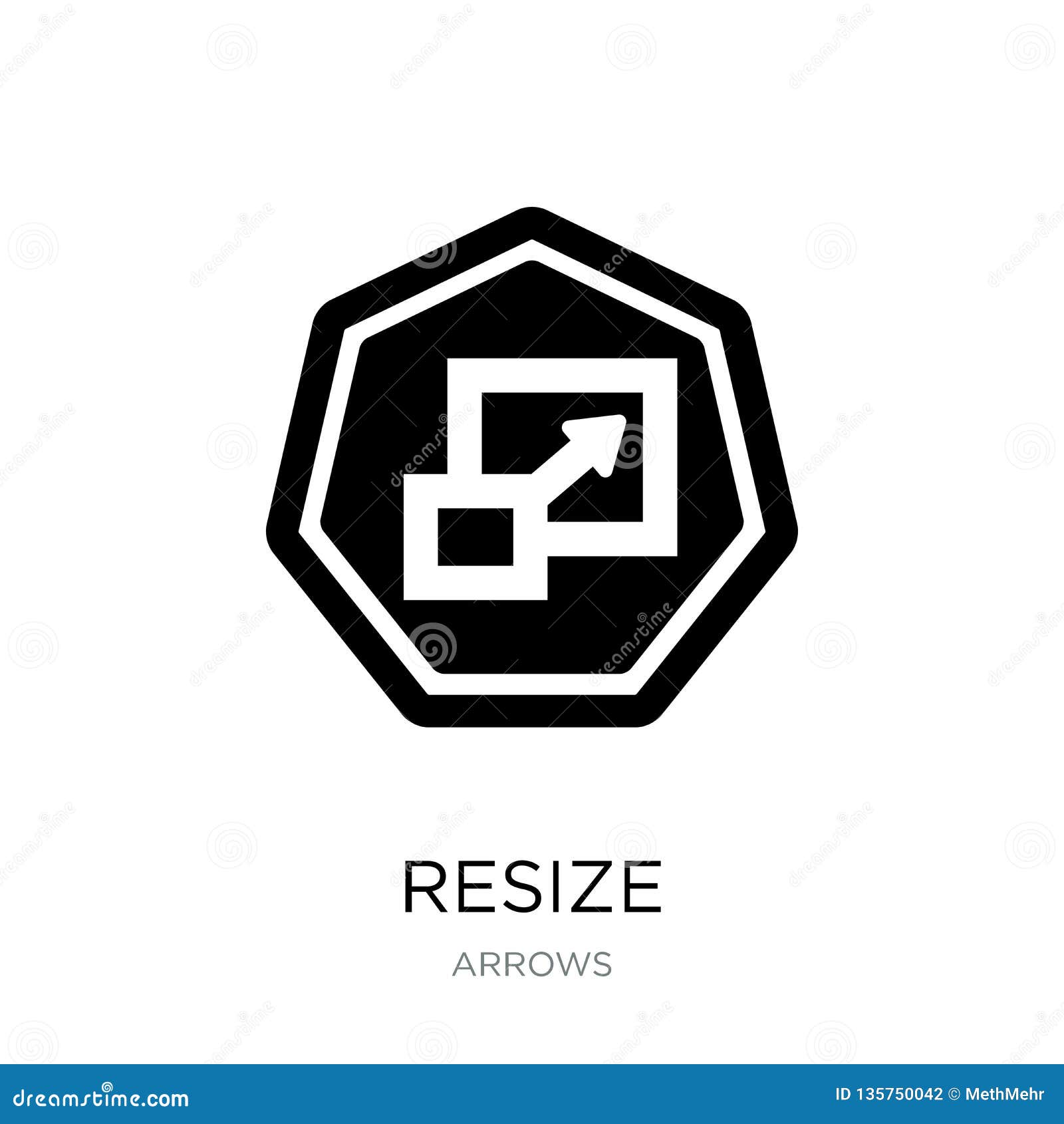 Resize Icon in Trendy Design Style. Resize Icon Isolated on White ...