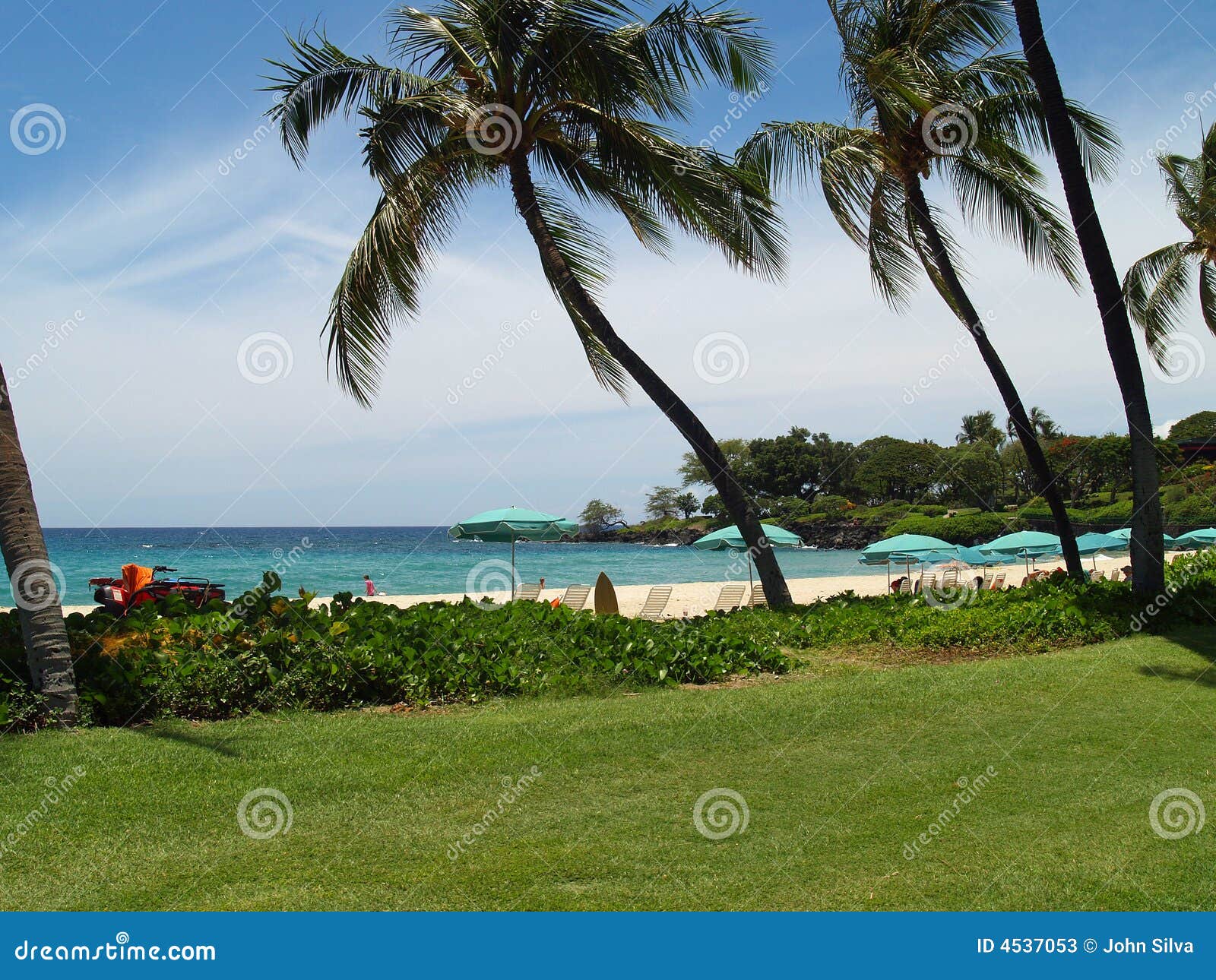Resort Beach Area stock image. Image of relaxation, hawaii - 4537053