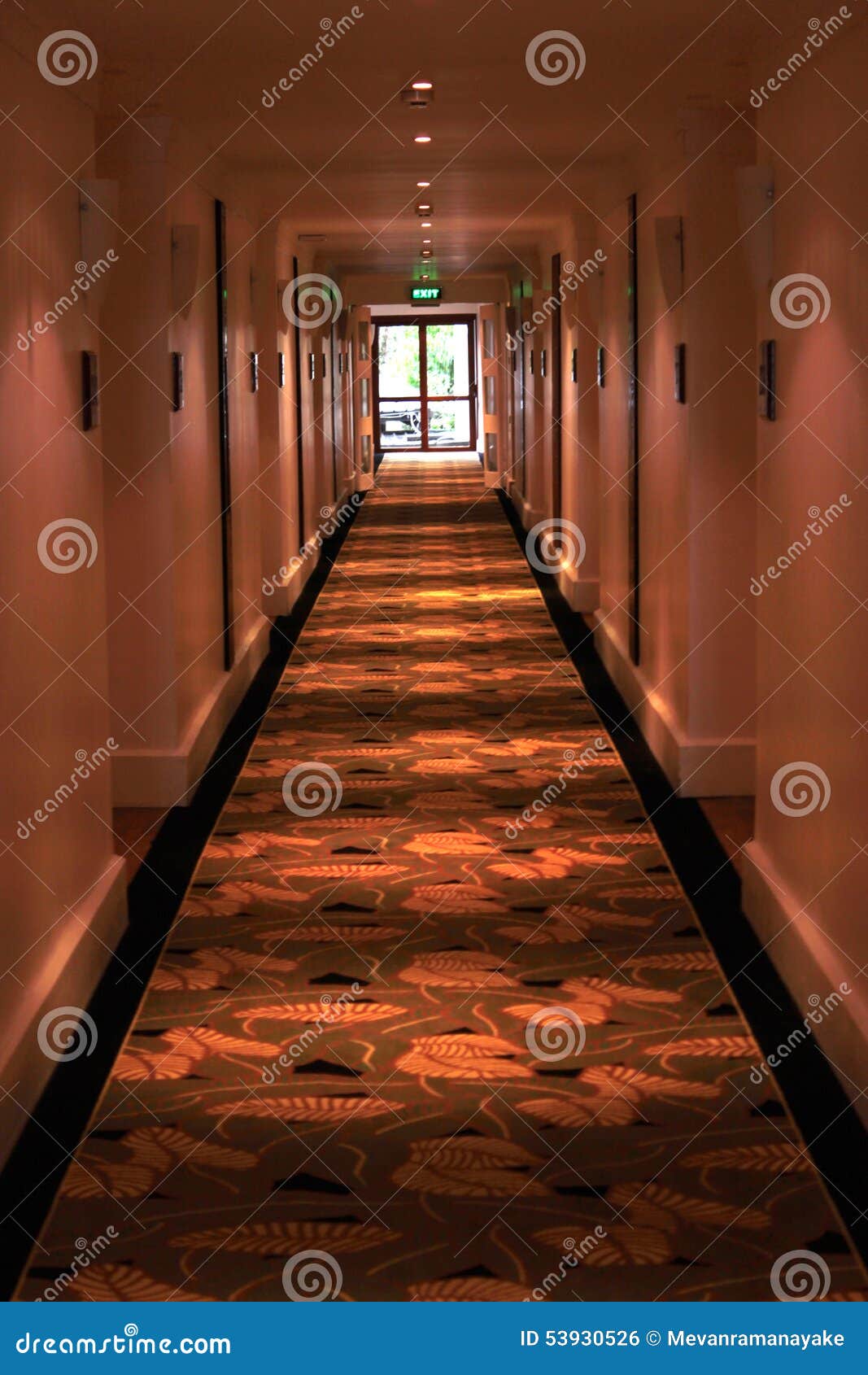 Resort stock photo. Image of resort, lighting, hotel - 53930526