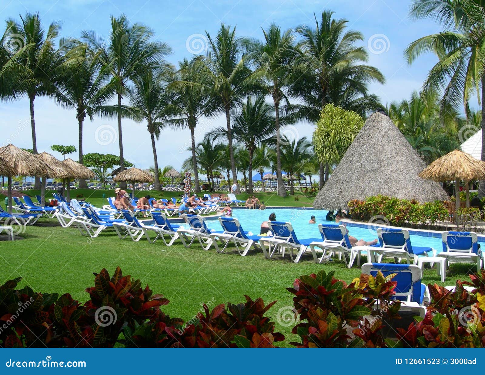 Resort in Costa Rica with Pool Stock Image - Image of poolside ...
