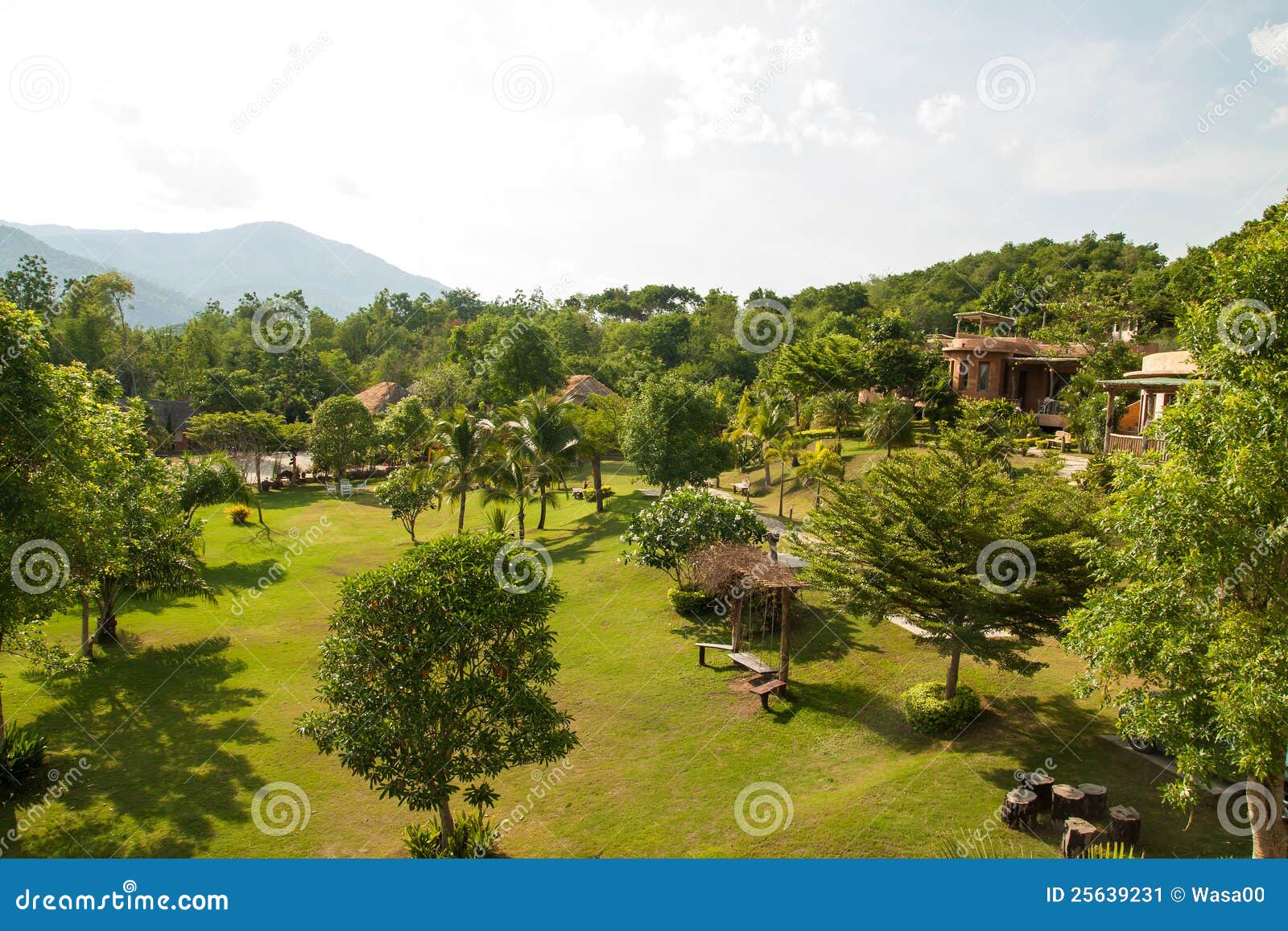 Resort in a forest stock image. Image of beautiful, leaf - 25639231