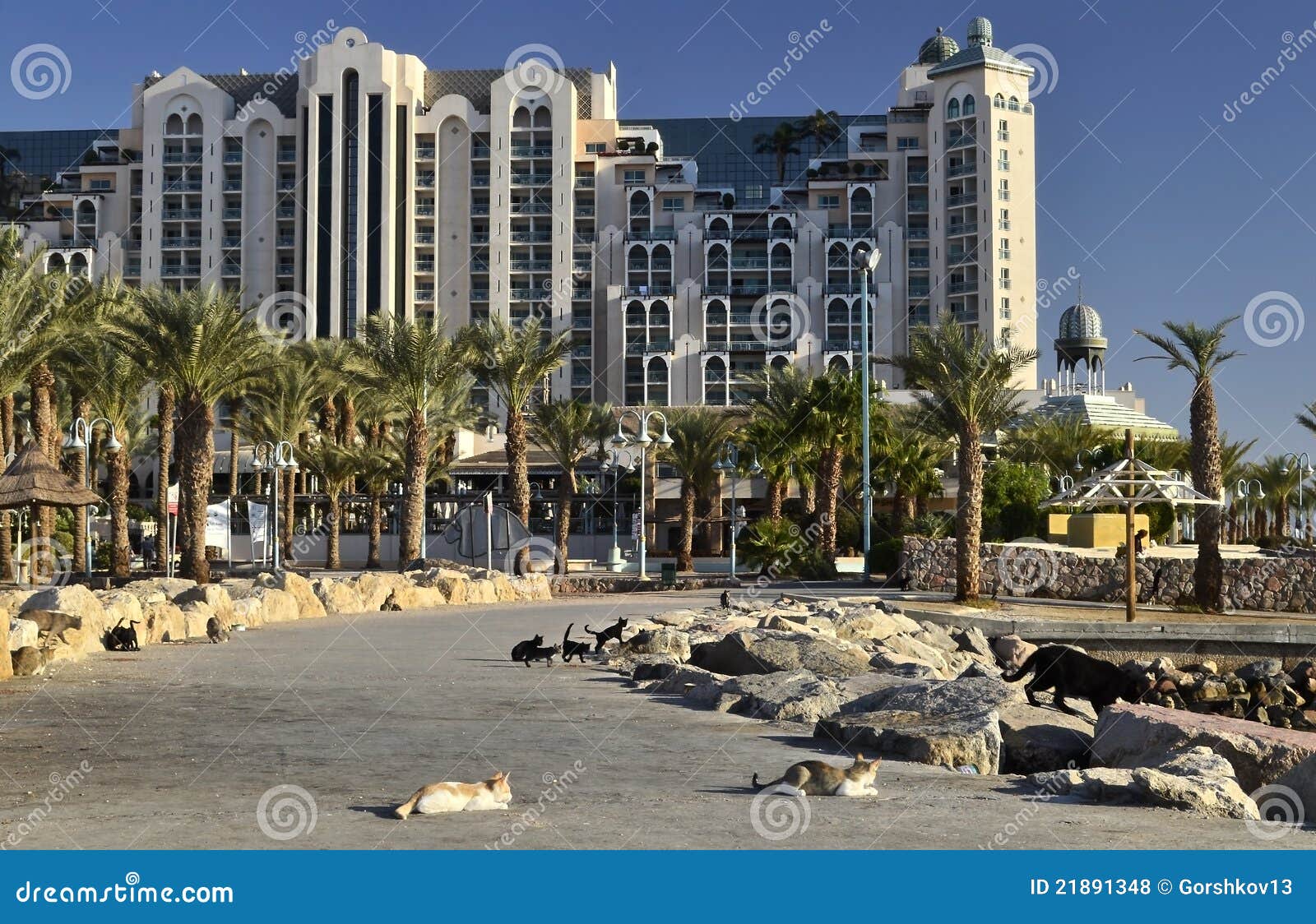 Resort Hotels in Eilat, Israel Stock Photo - Image of desert, summer ...