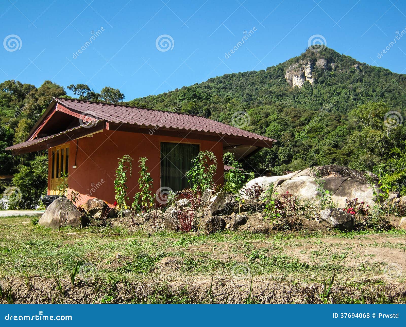 Resort with Mountain in Doi Inthanon National Park Stock Photo - Image ...