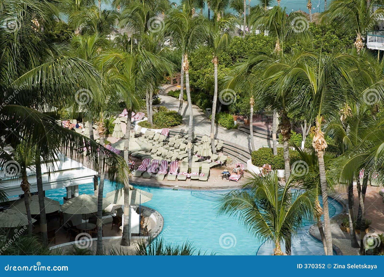 Resort Pool stock photo. Image of palms, reflection, lush - 370352