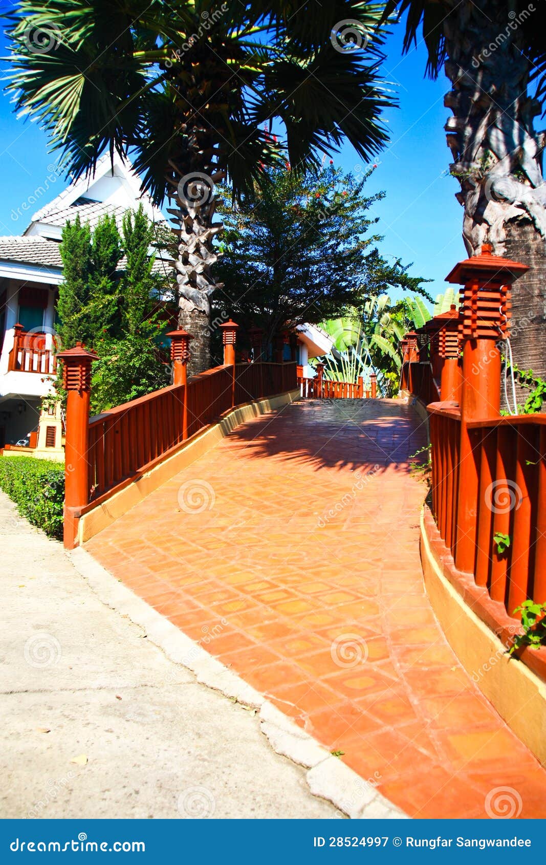 Resort road. stock image. Image of scenic, tourism, beautiful - 28524997