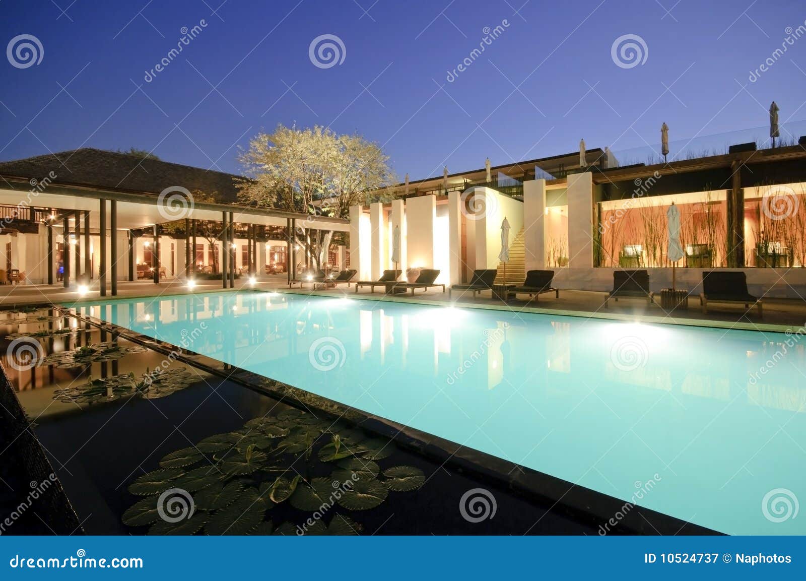 Resort with Swimmimg Pool at Night Stock Image - Image of twilight ...