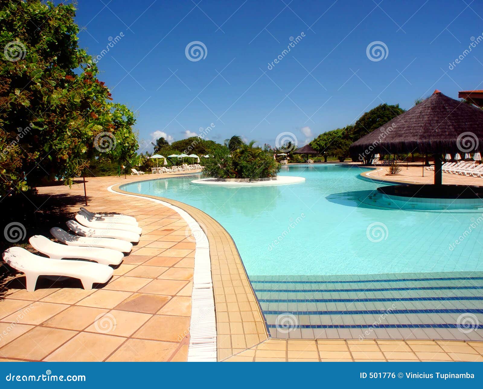Resort swimming pool stock photo. Image of water, pool - 501776