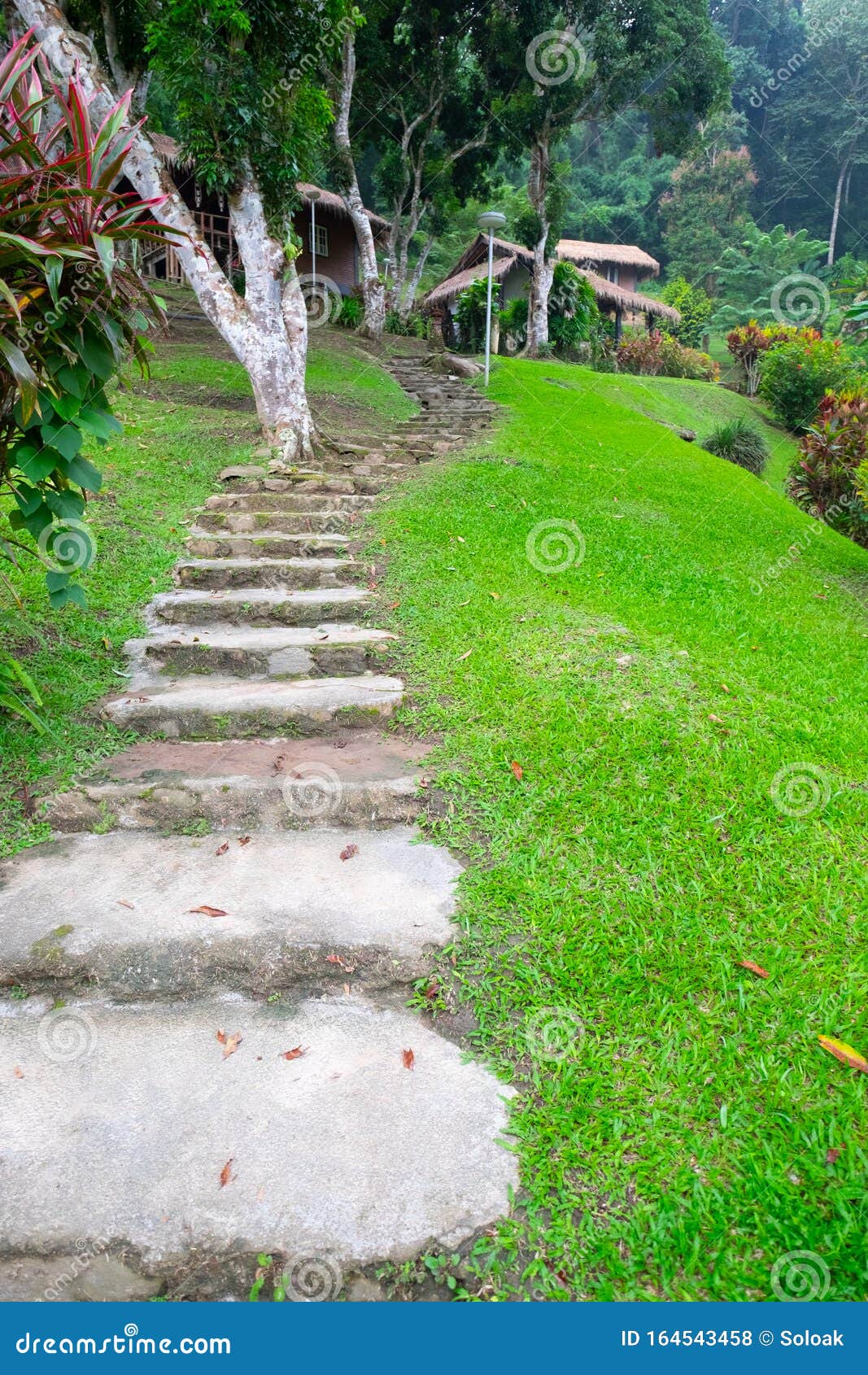 Resort Walkway,Resort Garden Stock Photo - Image of rural, summer ...