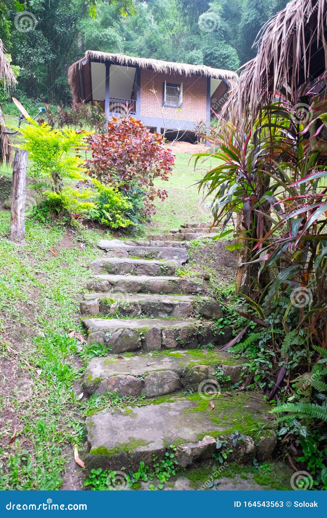 Resort Walkway,Resort Garden Stock Image - Image of nature, walkway ...