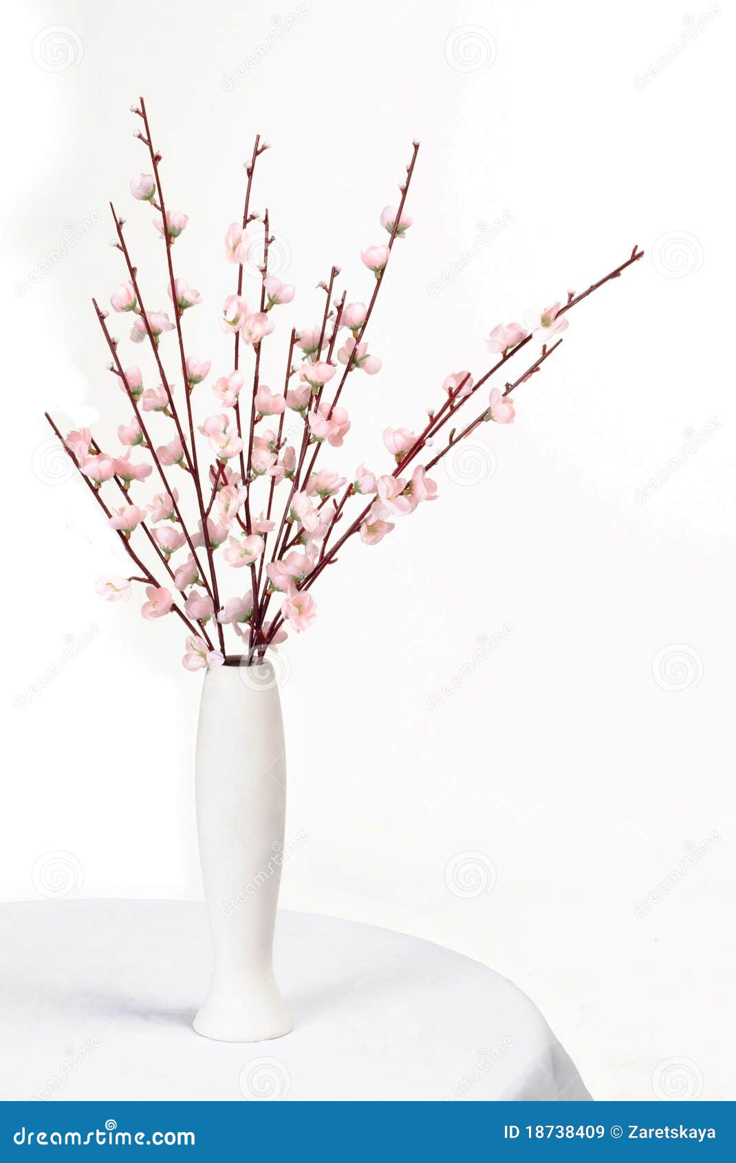 Resorte imagen de archivo. Imagen de rosa, cubo, fino - 18738409