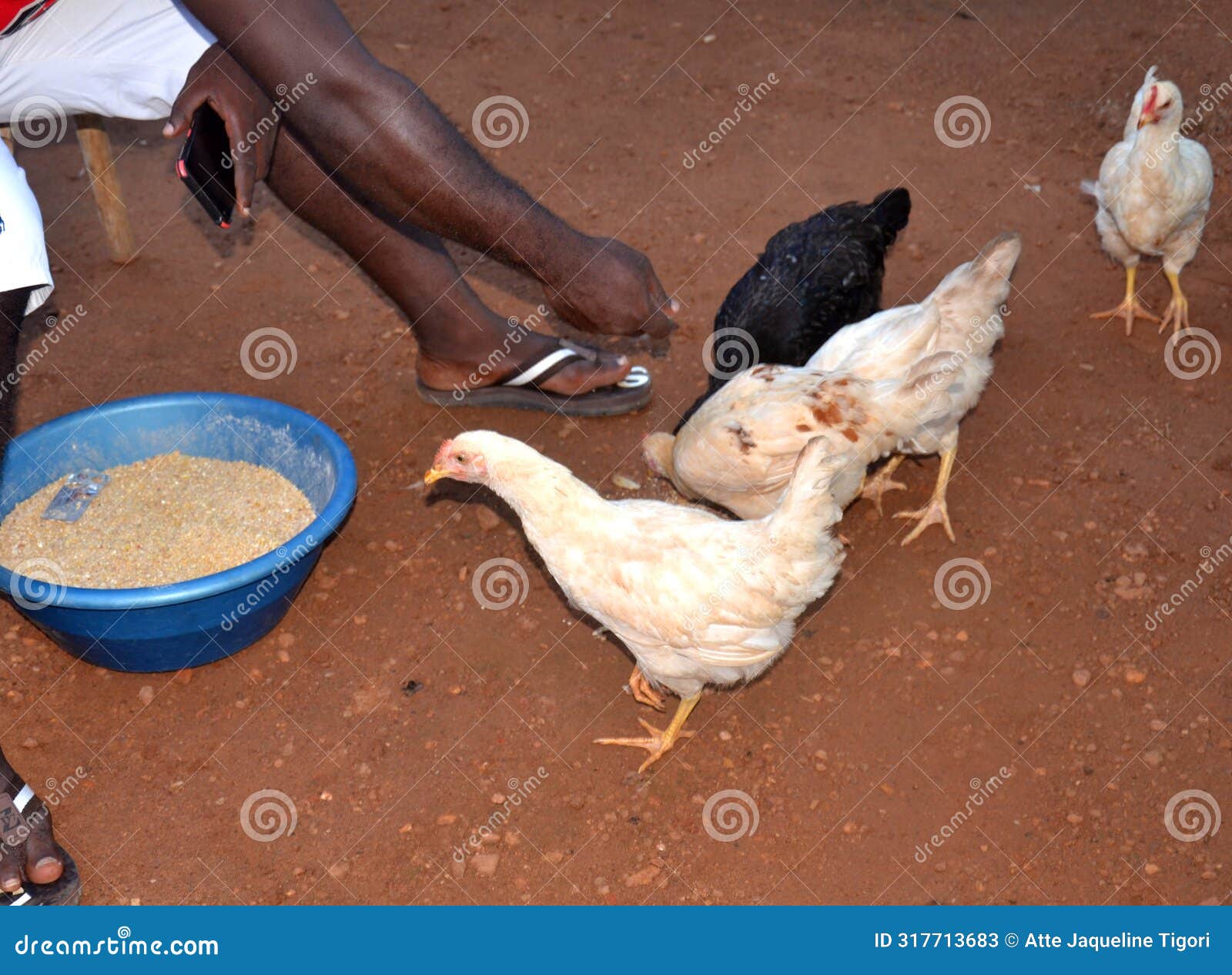 RESPECT for CONTRACT stock image. Image of chicken, food - 317713683