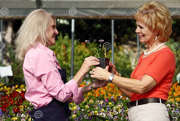 We Respect Each Other stock image. Image of teamwork - 33934541