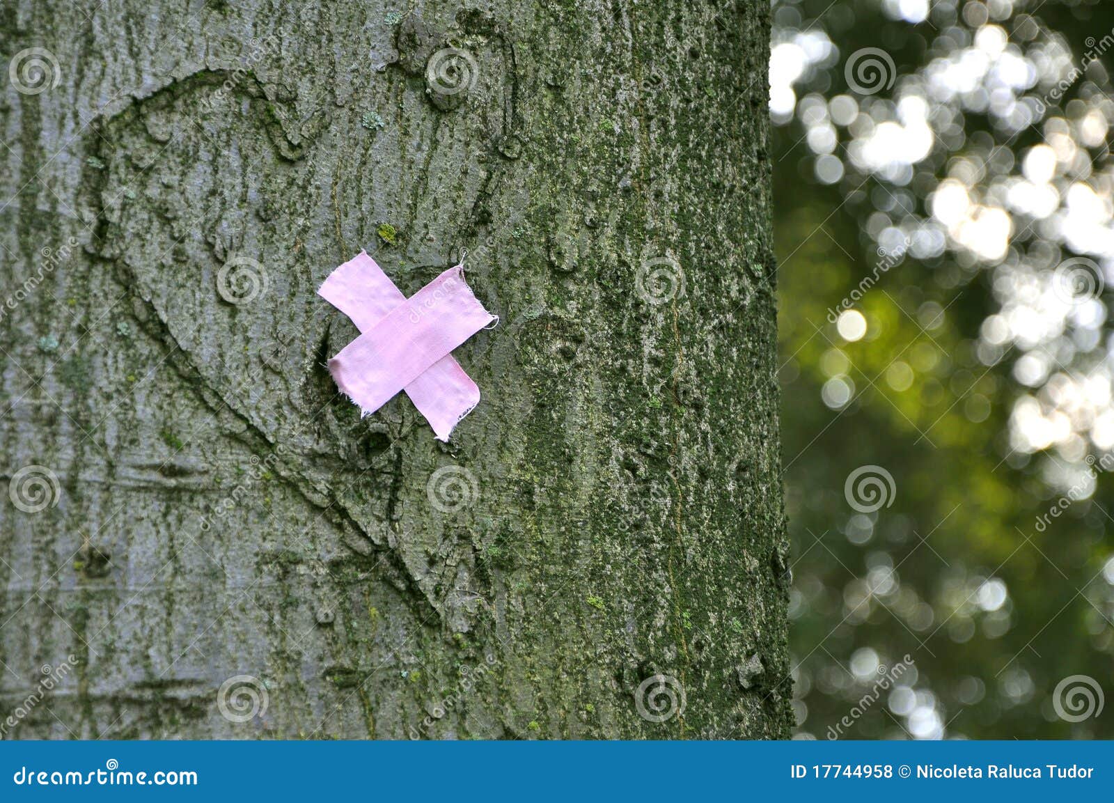 Respect, heal the nature stock photo. Image of background - 17744958