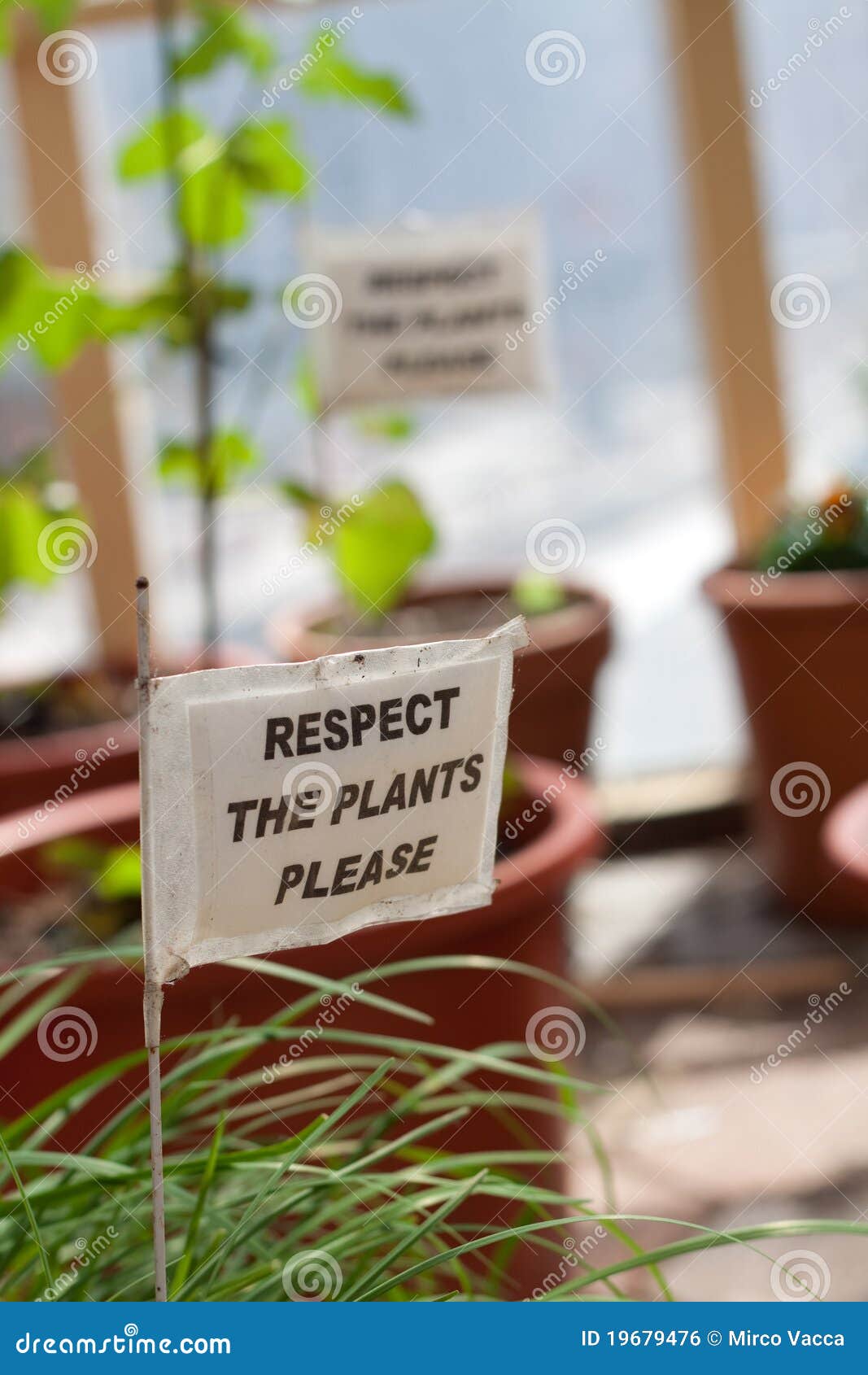 Respect the plants stock photo. Image of message, indoor - 19679476