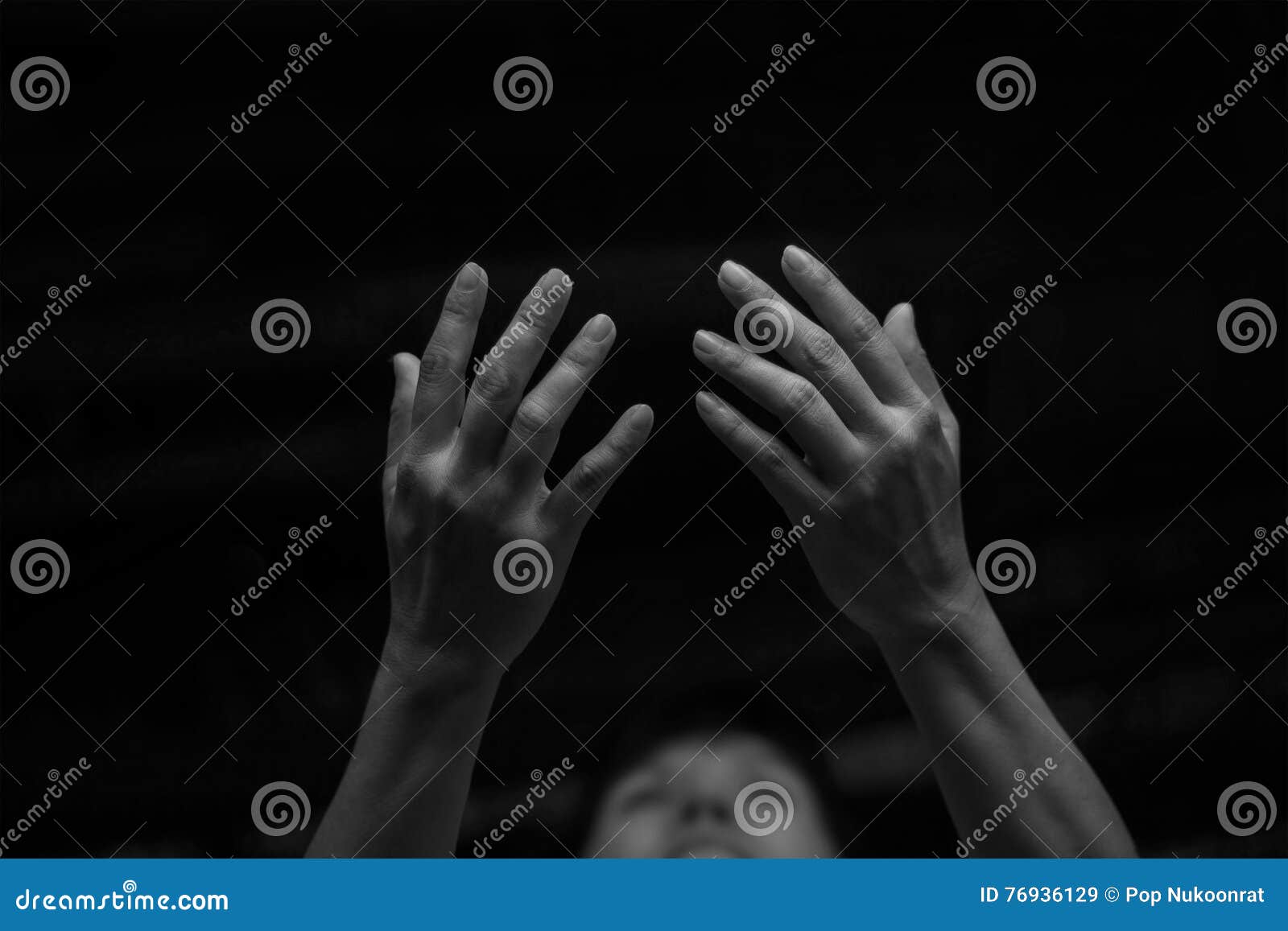 144 Humble Respect Photos - Free & Royalty-Free Stock Photos from ...