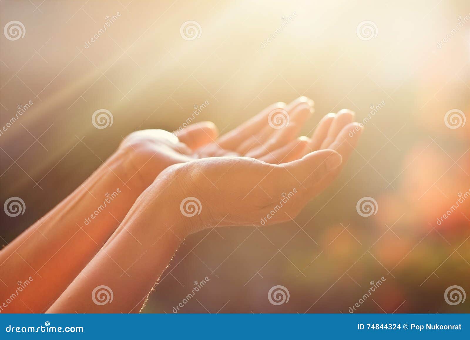 Respect and Praying on Nature Background Stock Photo - Image of ...