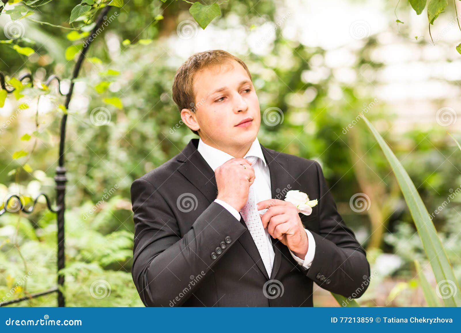 Respectable young man stock image. Image of luxury, looking - 77213859