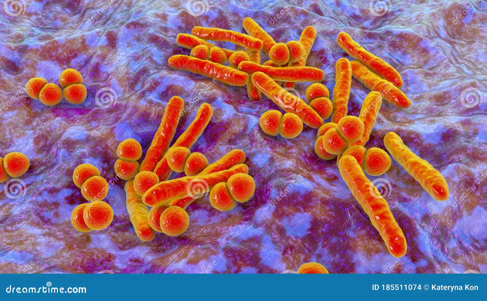 Respiratory Pathogens, Bacteria Mycobacterium Tuberculosis and ...