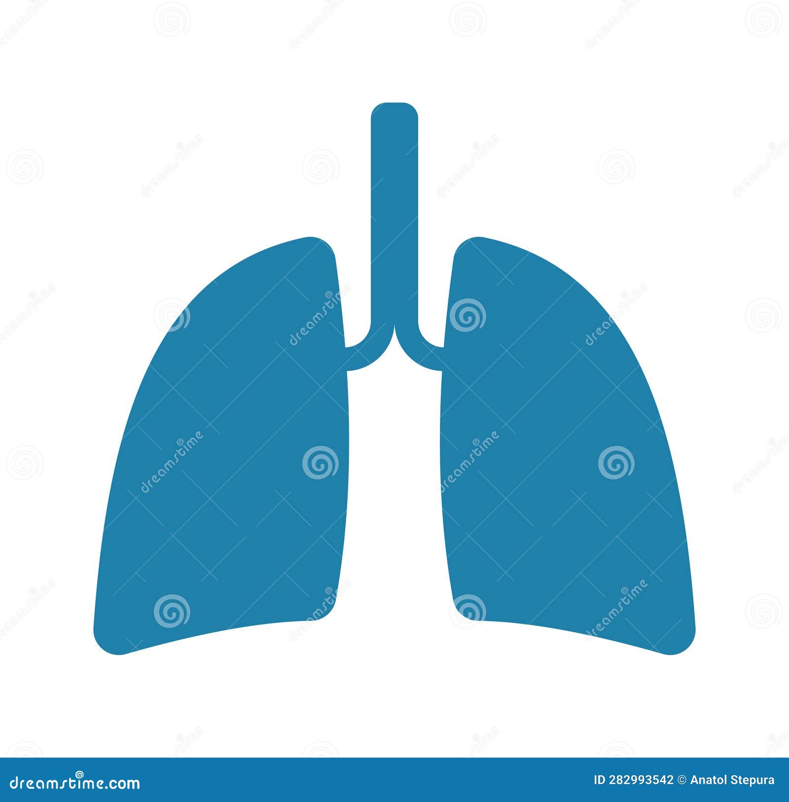 Blue Silhouette of Human Raspiratory System Stock Vector - Illustration ...