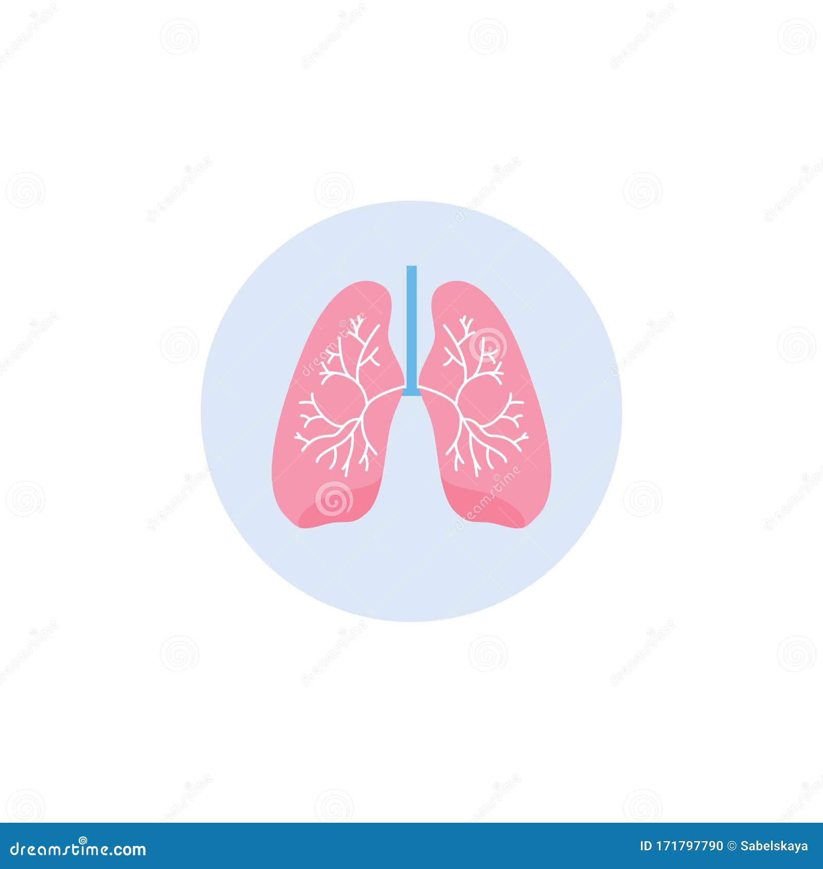 Respiratory System Lungs Icon in Circle Flat Vector Illustration ... Respiratory System Lungs Icon in Circle Flat Vector Illustration ...