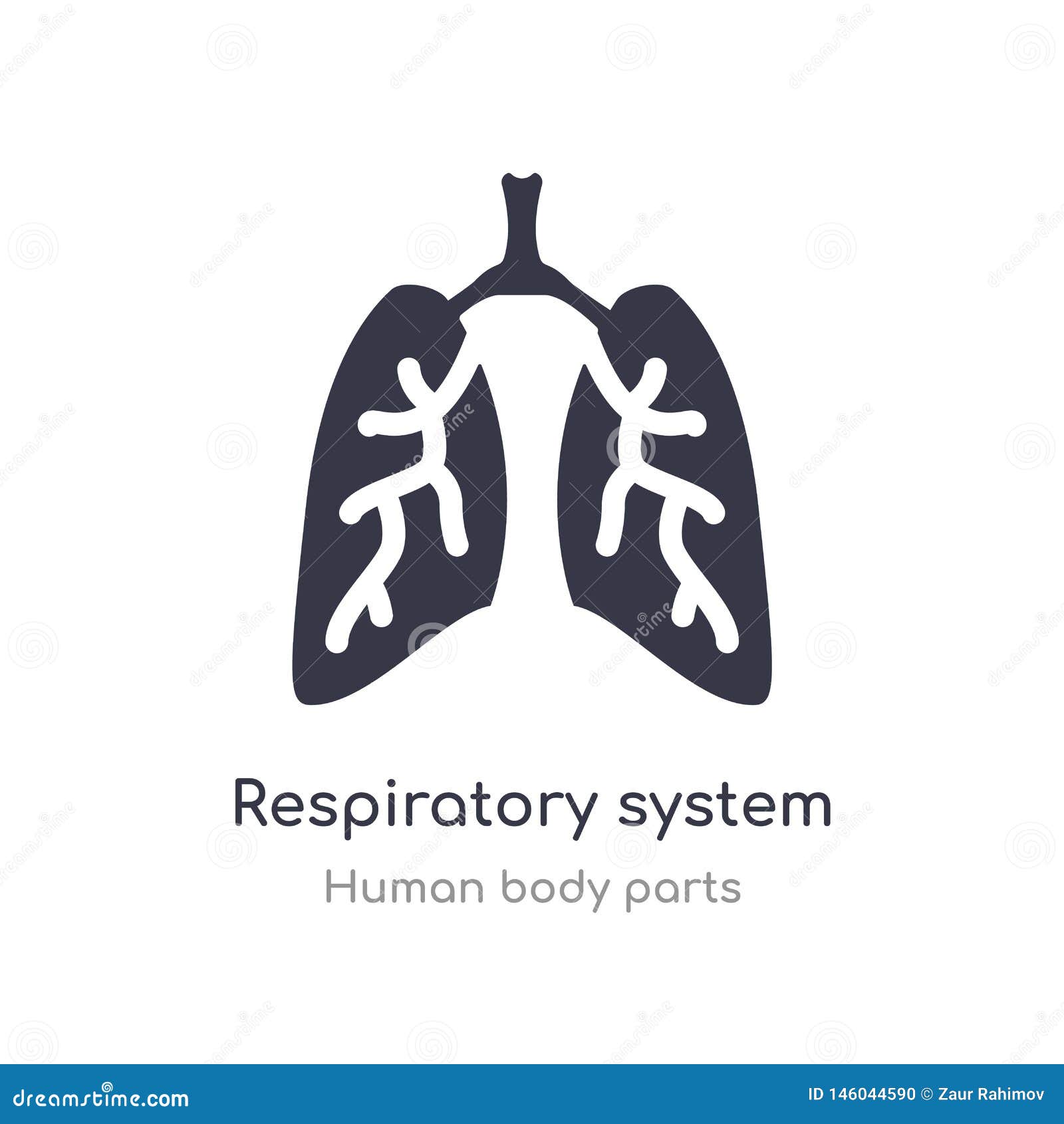 Respiratory System Outline Icon. Isolated Line Vector Illustration from ... Respiratory System Outline Icon. Isolated Line Vector Illustration from ...