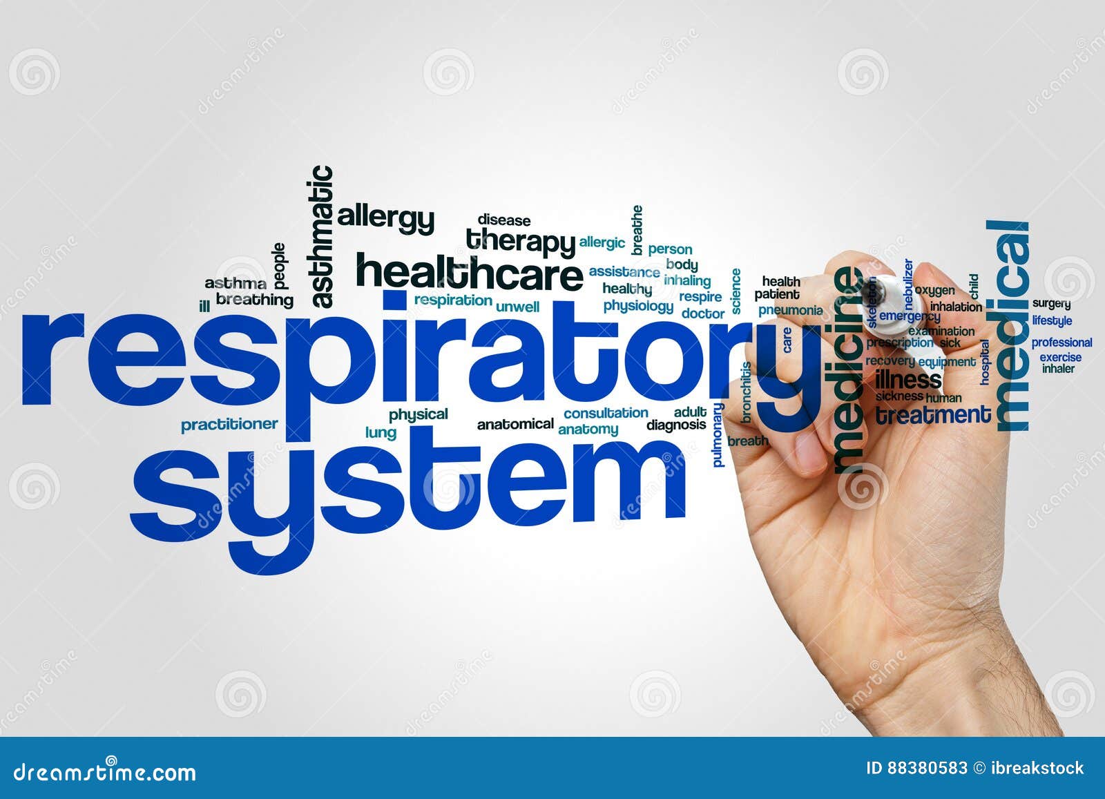 Respiratory System Word Cloud Stock Image - Image of lung, people: 88380583