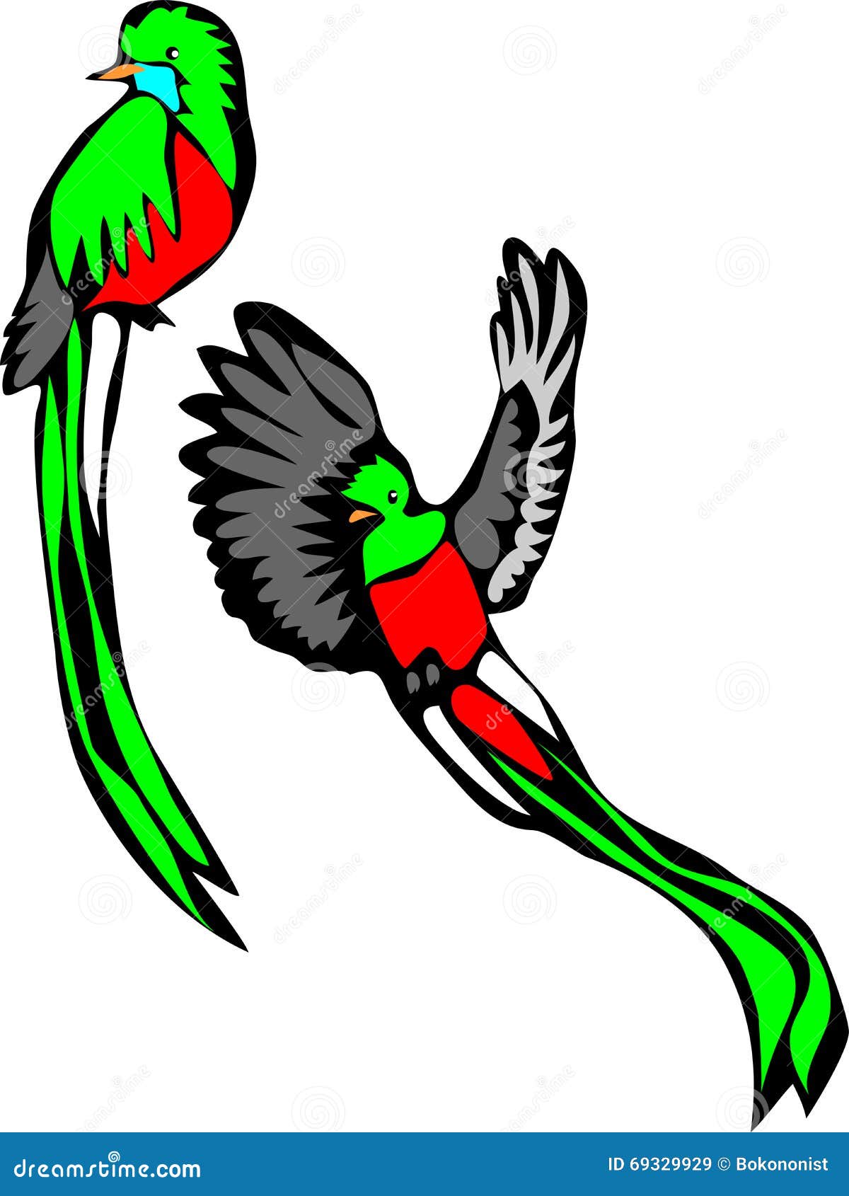Resplendent Quetzal Cartoon Vector | CartoonDealer.com #69329929 Resplendent Quetzal Cartoon Vector | CartoonDealer.com #69329929
