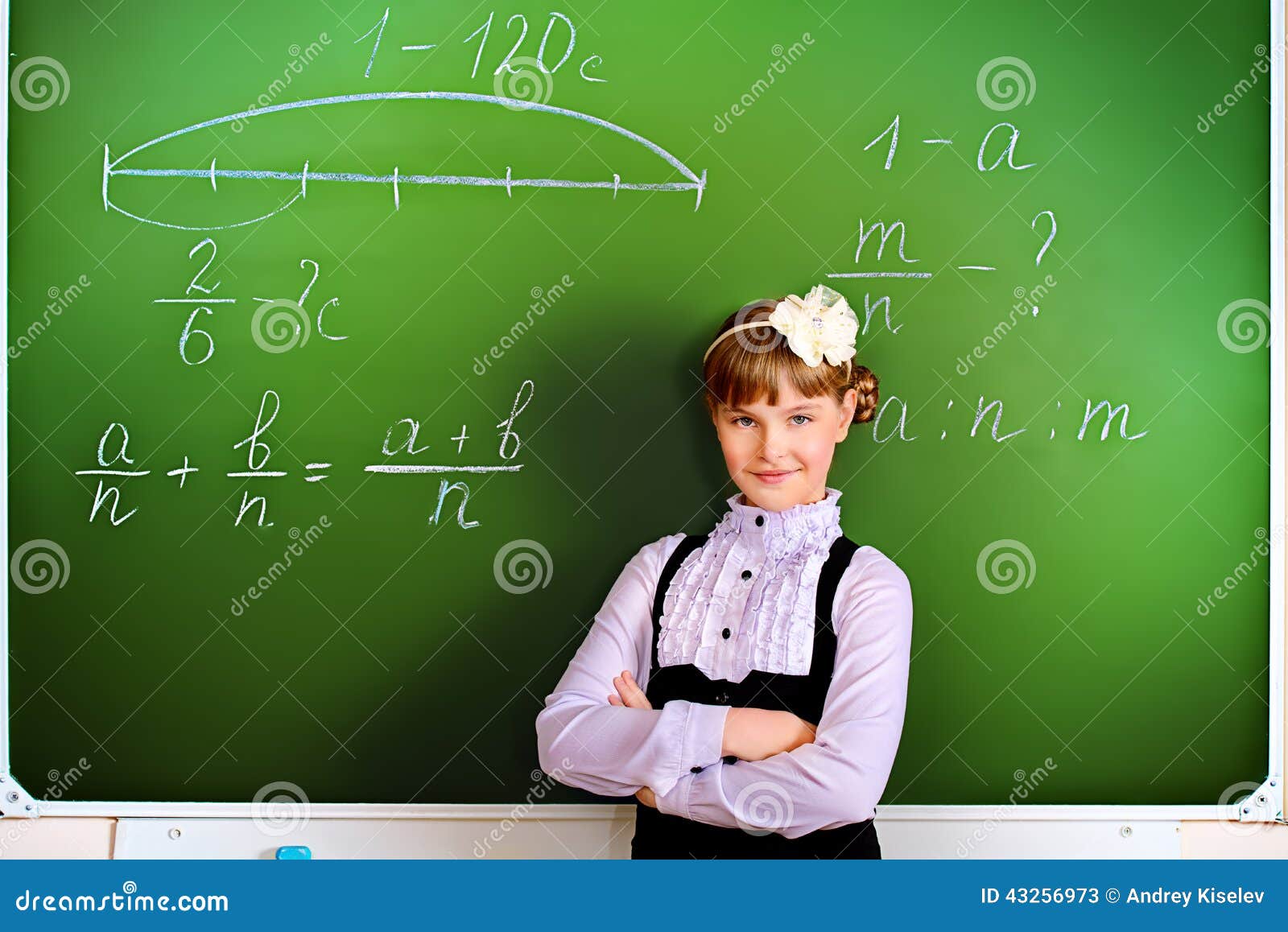 Responda imagem de stock. Imagem de diligente, retrato - 43256973