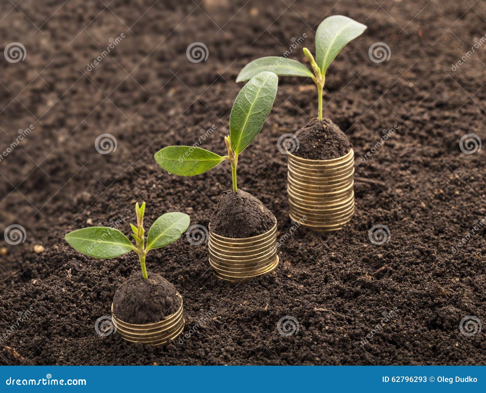 Responsibility stock image. Image of ethics, grow, development - 62796293