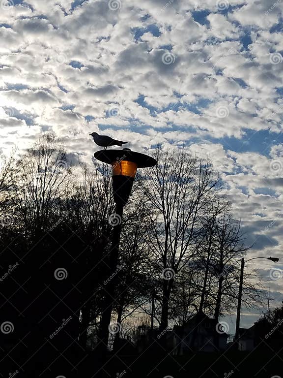 Rest stock photo. Image of place, perfect, rest - 144236828