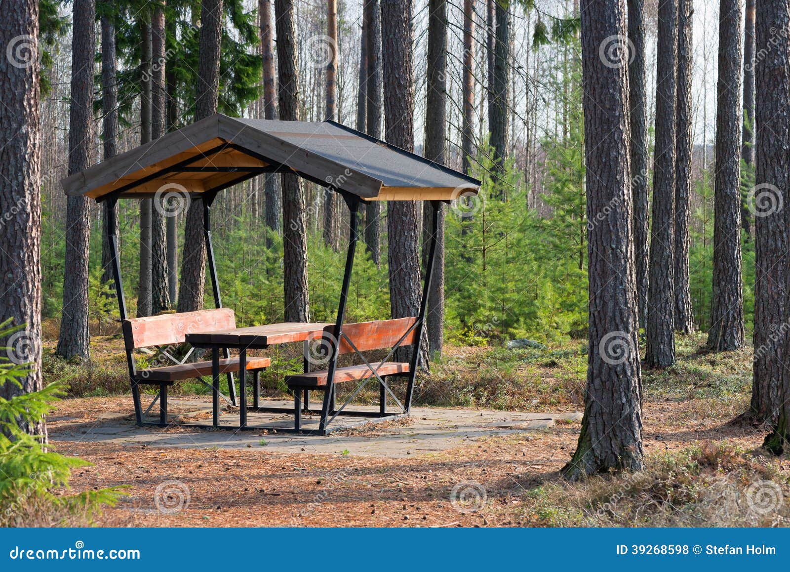 Rest Area in the Forest Besides the Highway Stock Photo - Image of ...