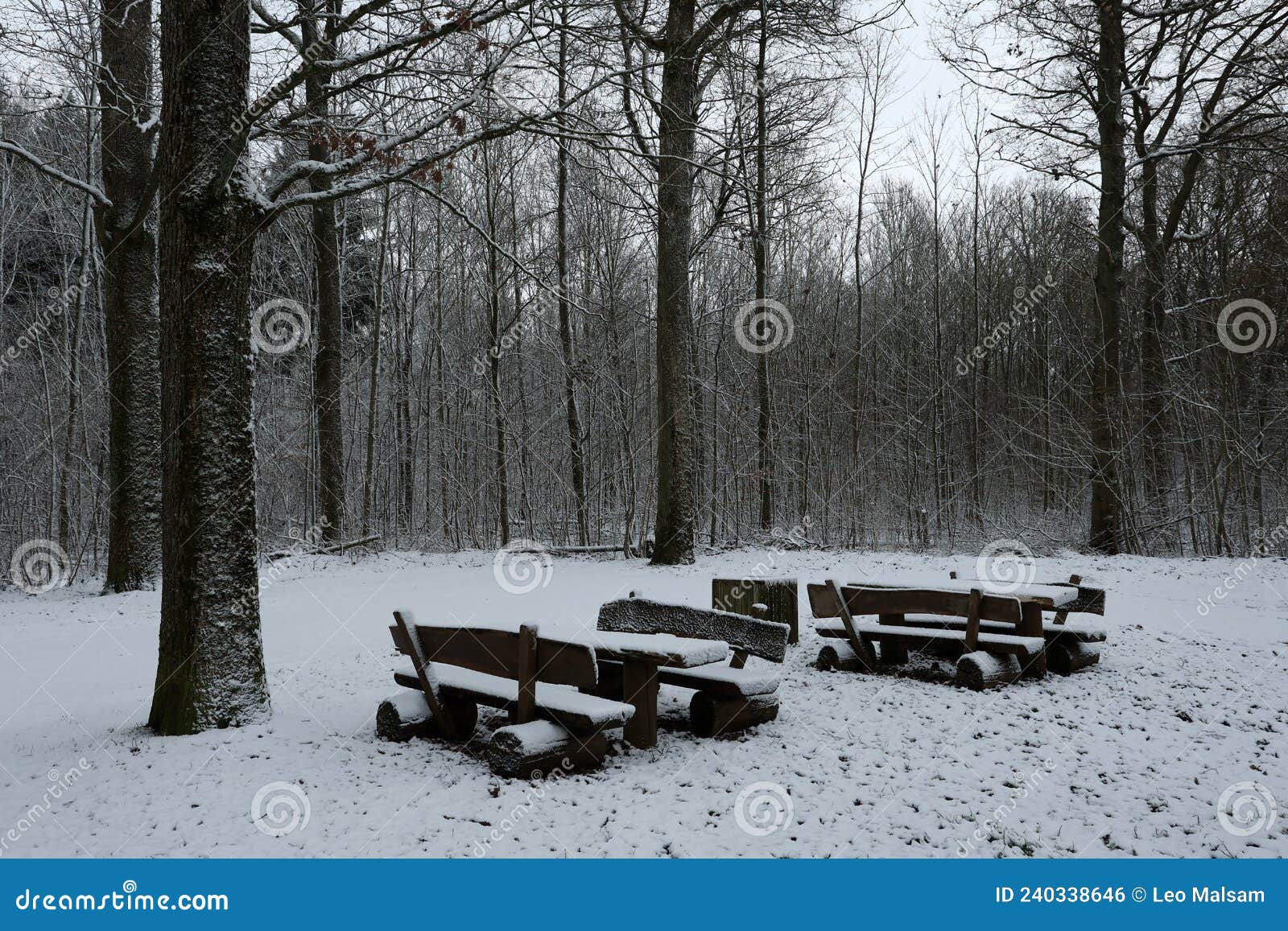 A Rest Area in the Forest in Winter Stock Photo - Image of activity ...