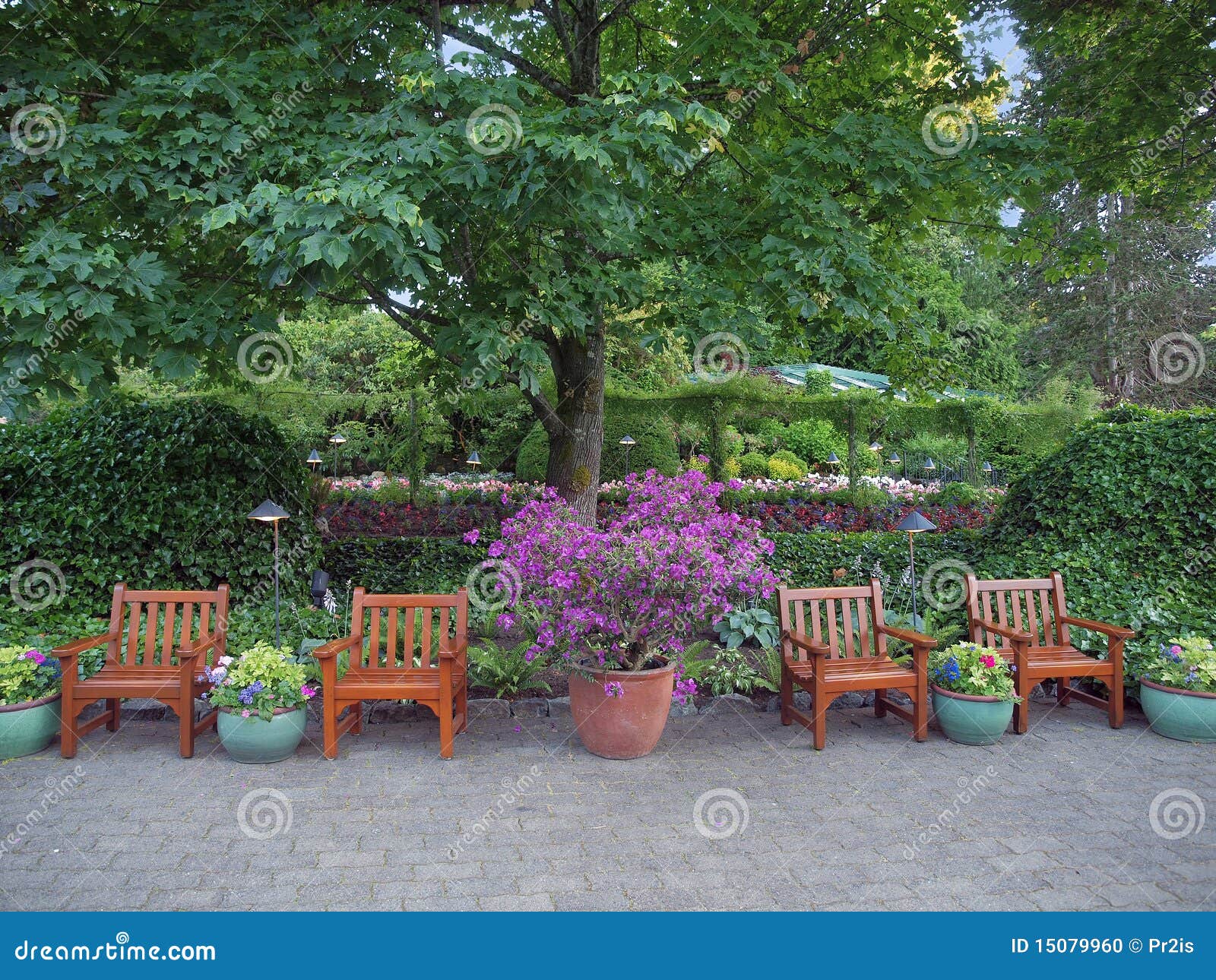 Rest area in the park stock photo. Image of rest, grounds - 15079960