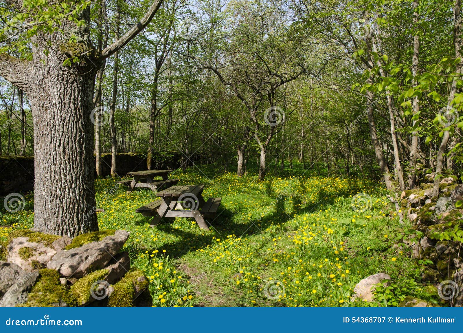 Rest area at spring stock image. Image of beautiful, rest - 54368707
