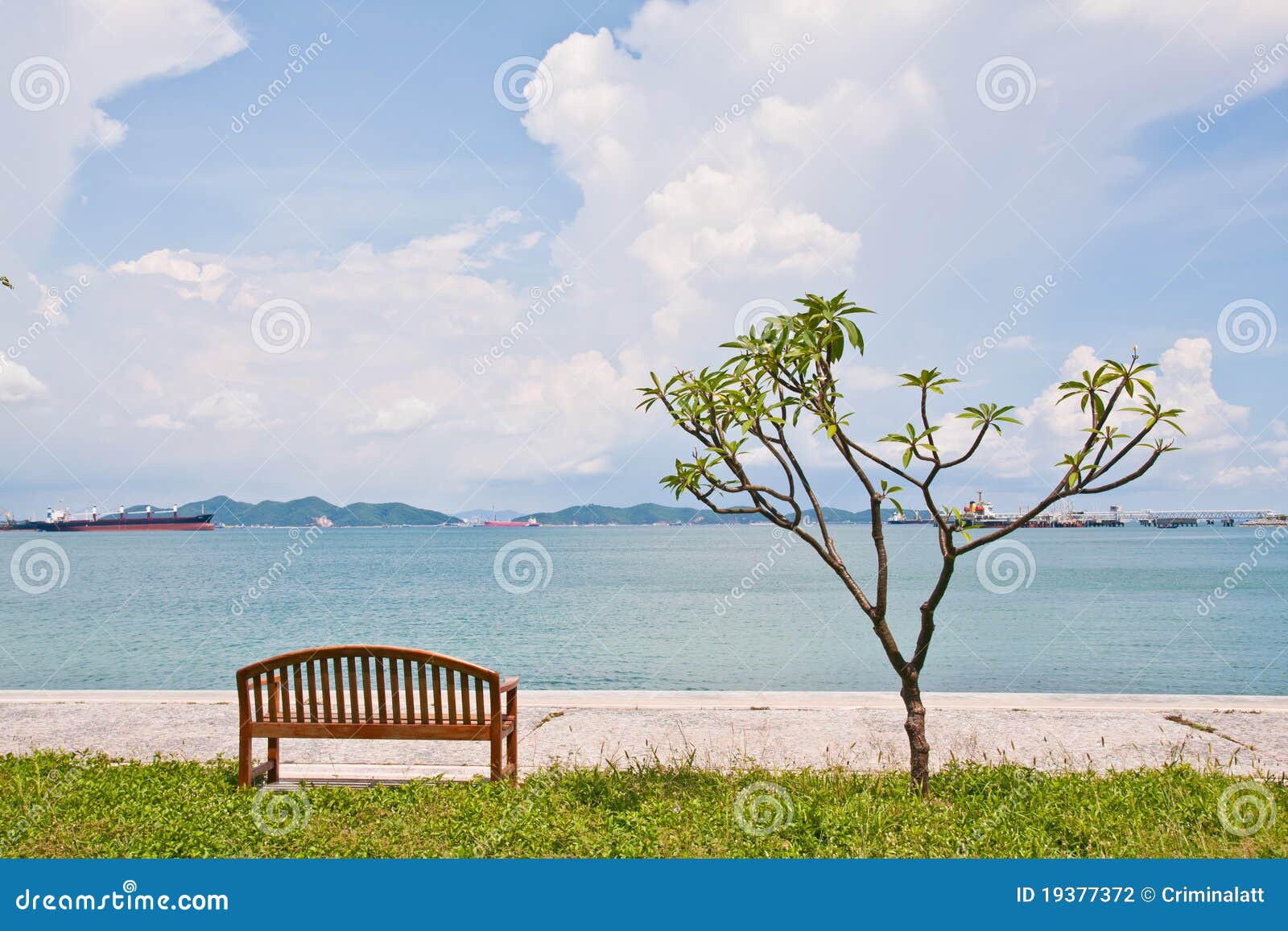 Rest Bench and the Tree at Shore Stock Photo - Image of seat, outdoor ...