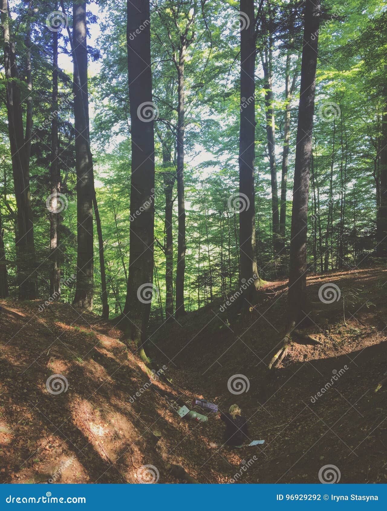 Rest in the forest stock photo. Image of mountain, rest - 96929292