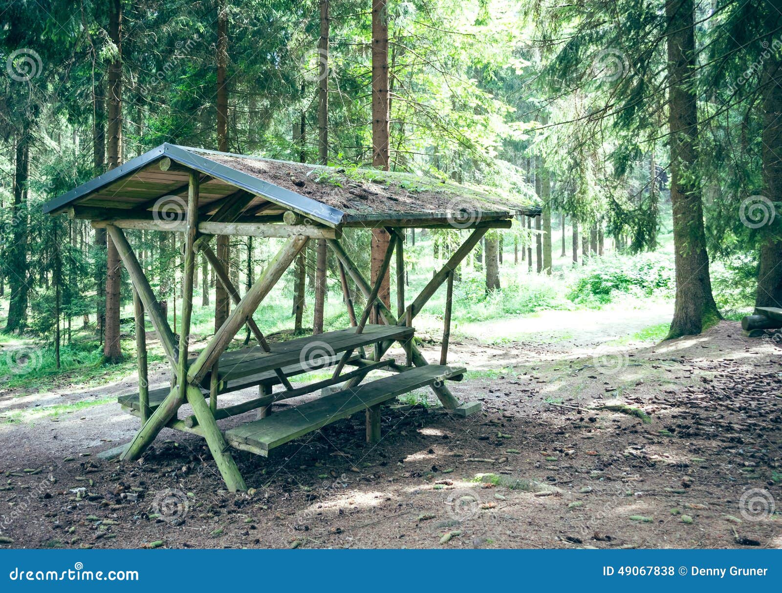 Rest in the forest stock photo. Image of nature, outdoors - 49067838