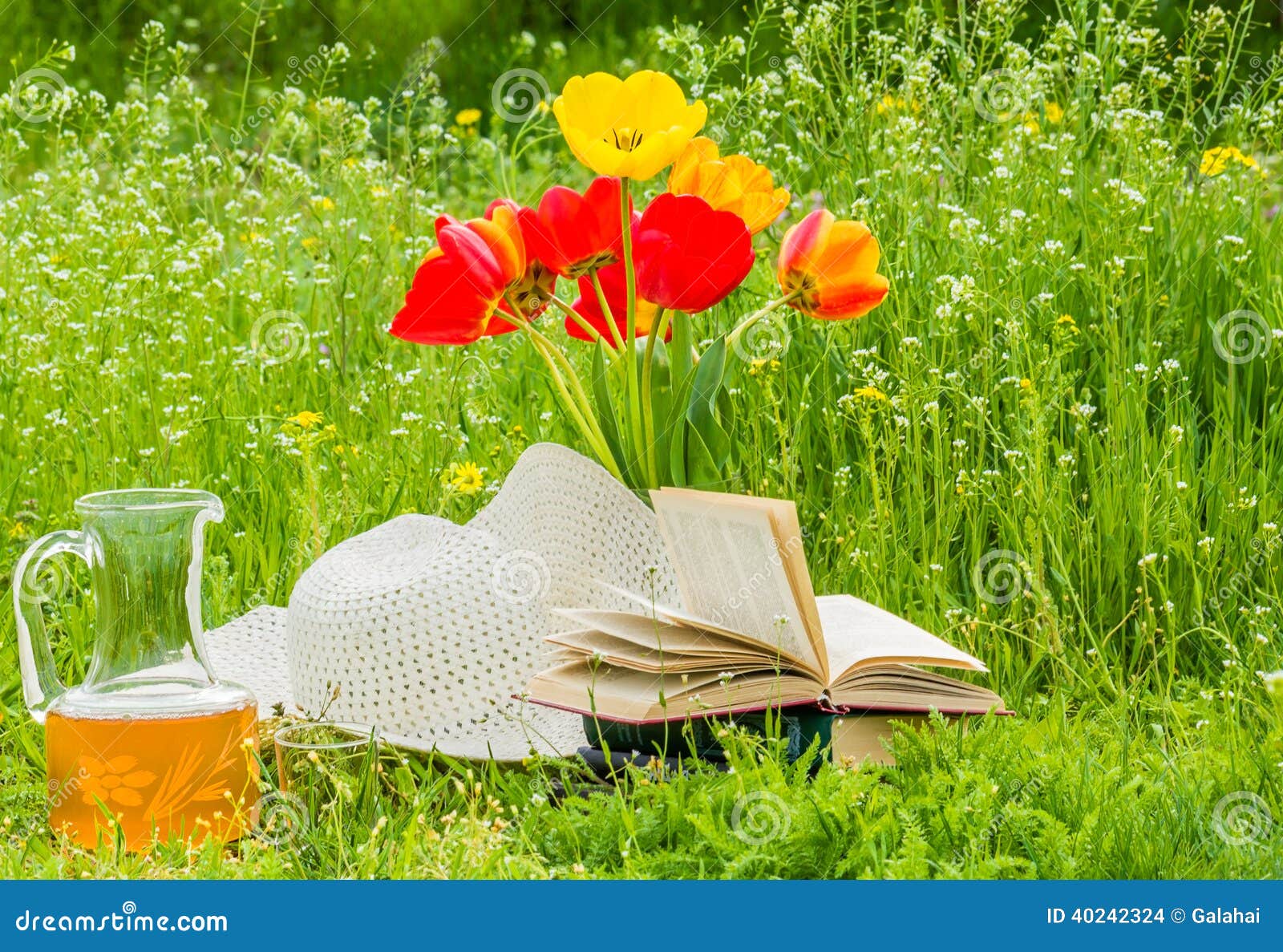 Rest on the Green Lawn in the Garden Stock Photo - Image of lawn ...