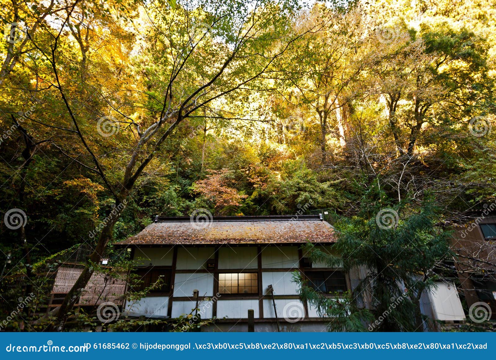 Rest House in the Mountain Side Surrounded by Trees Stock Photo - Image ...