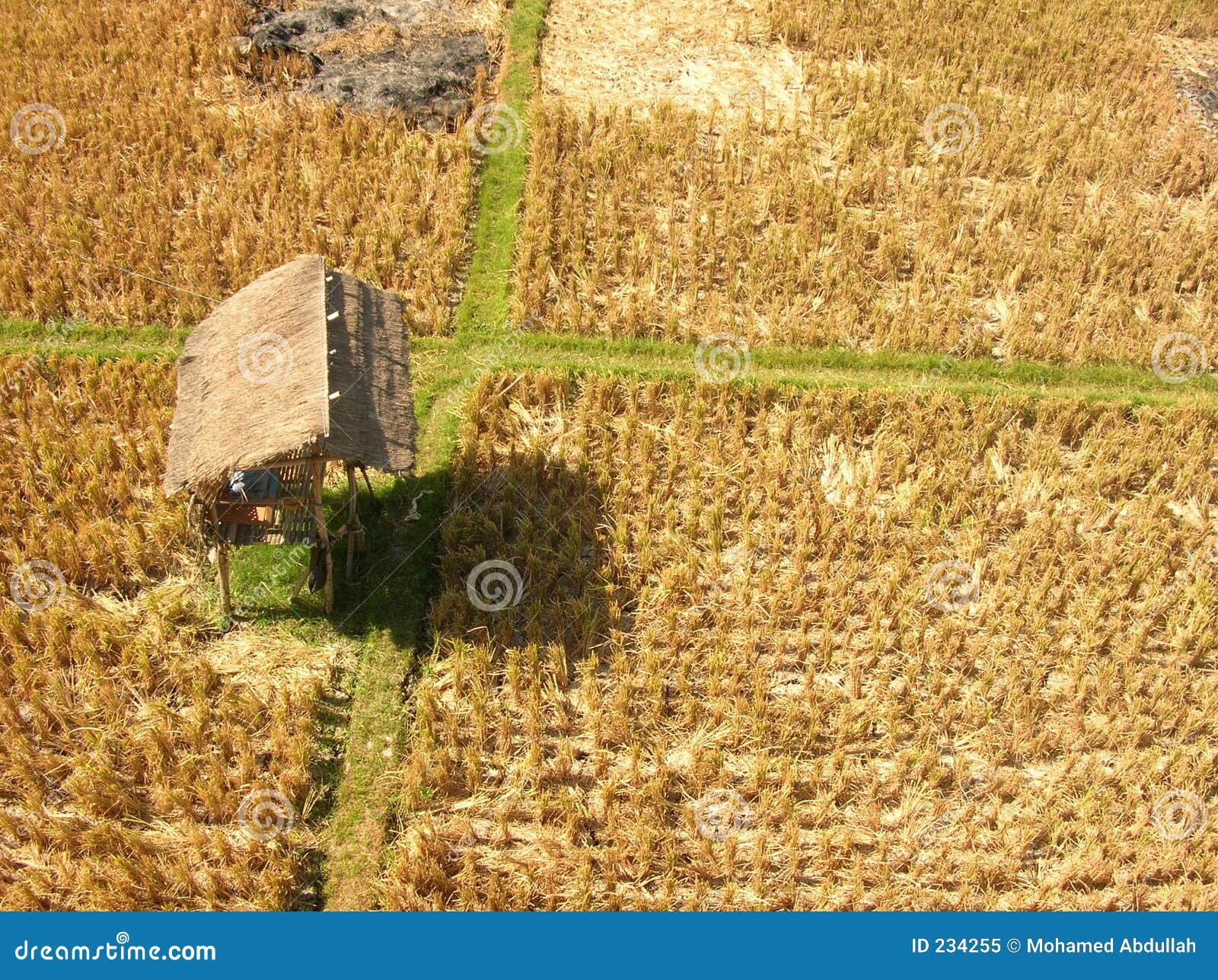 Rest Hut Junction Picture. Image: 234255