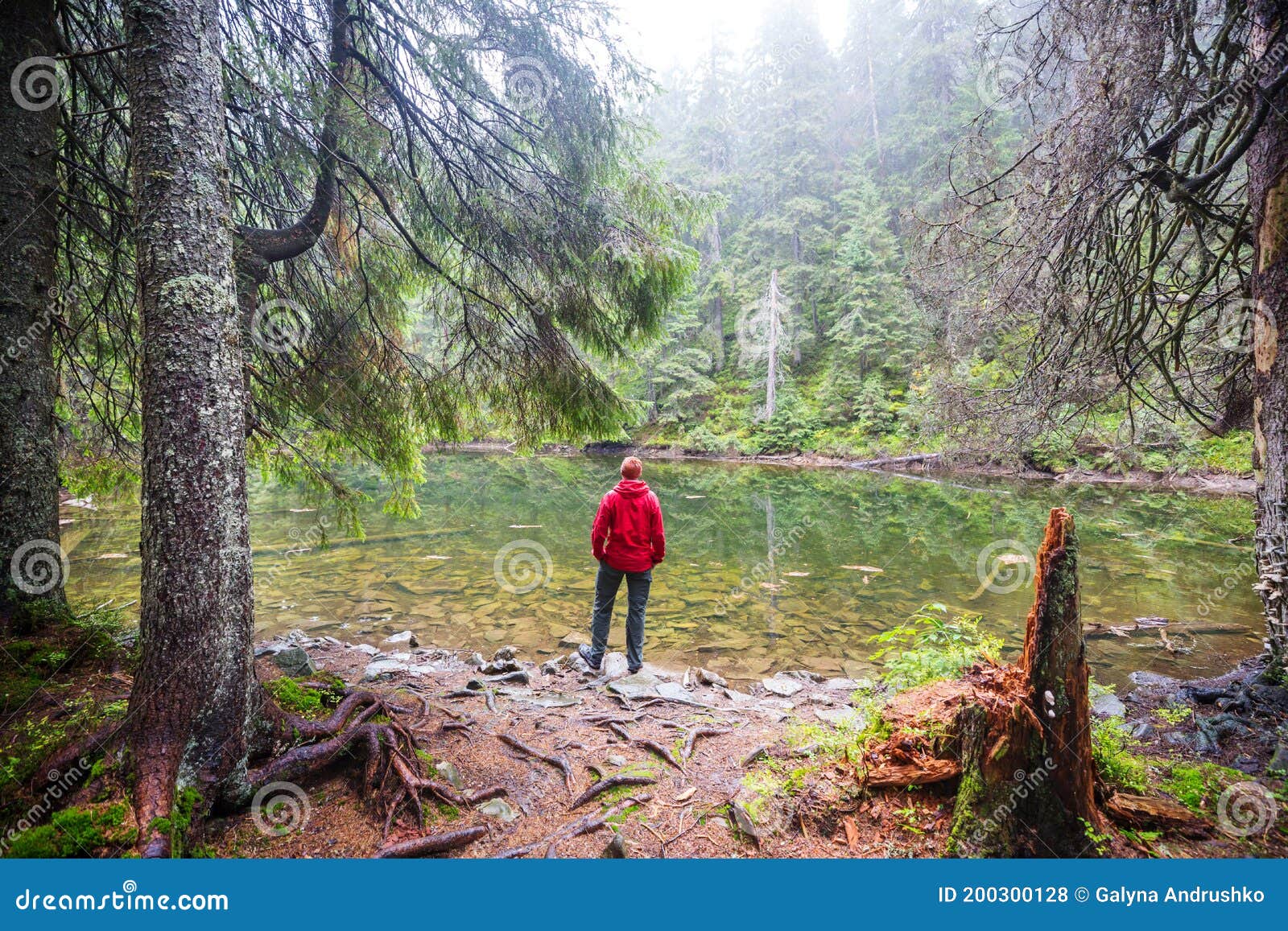 Rest on the lake stock photo. Image of landscape, nature - 200300128