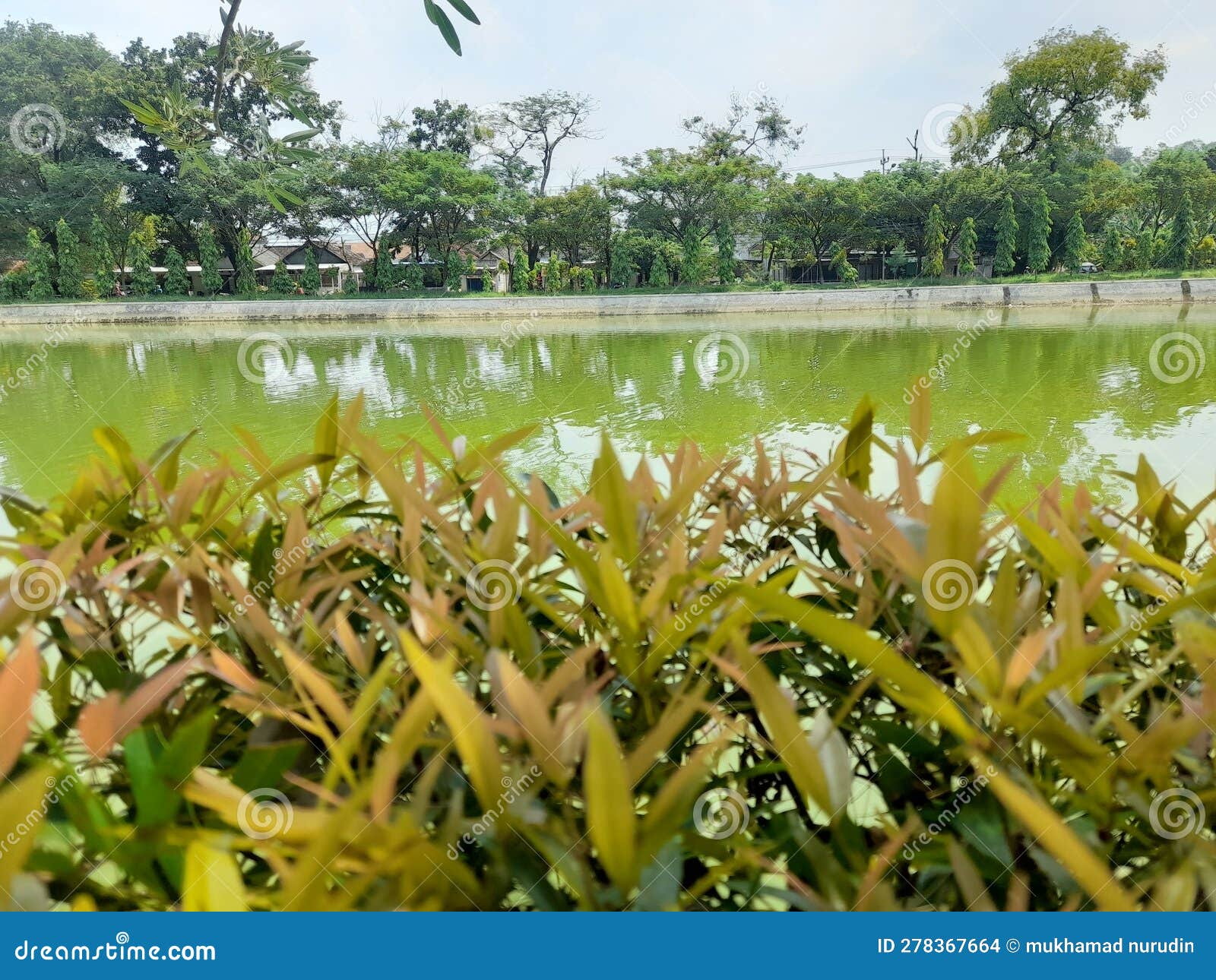 The Rest of the Mining Excavation Which Became a Pond Stock Photo ...