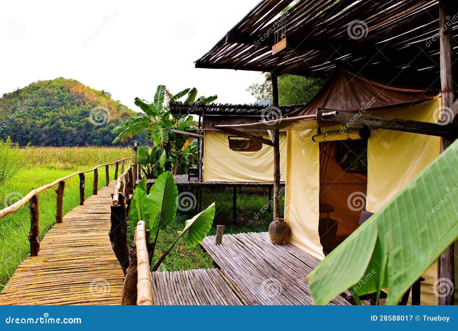 Rest with nature stock image. Image of camping, fresh - 28588017