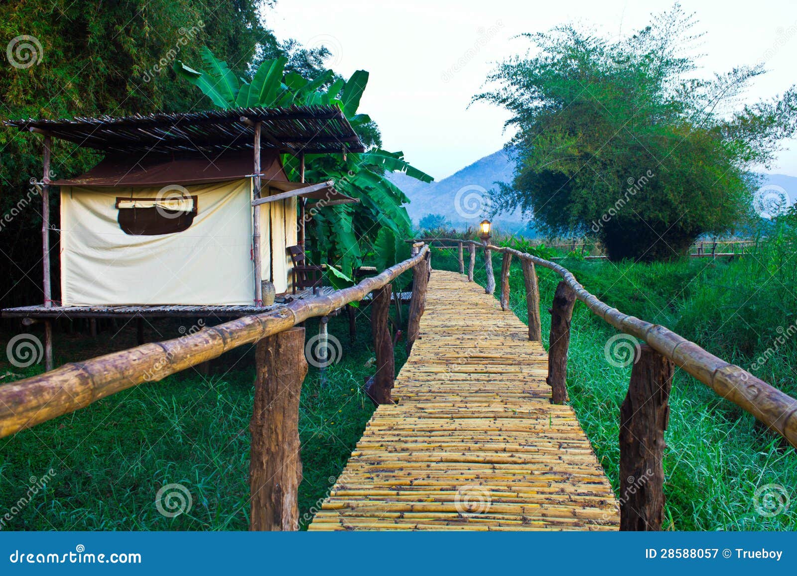 Rest with nature stock image. Image of mood, join, bananaleaf - 28588057