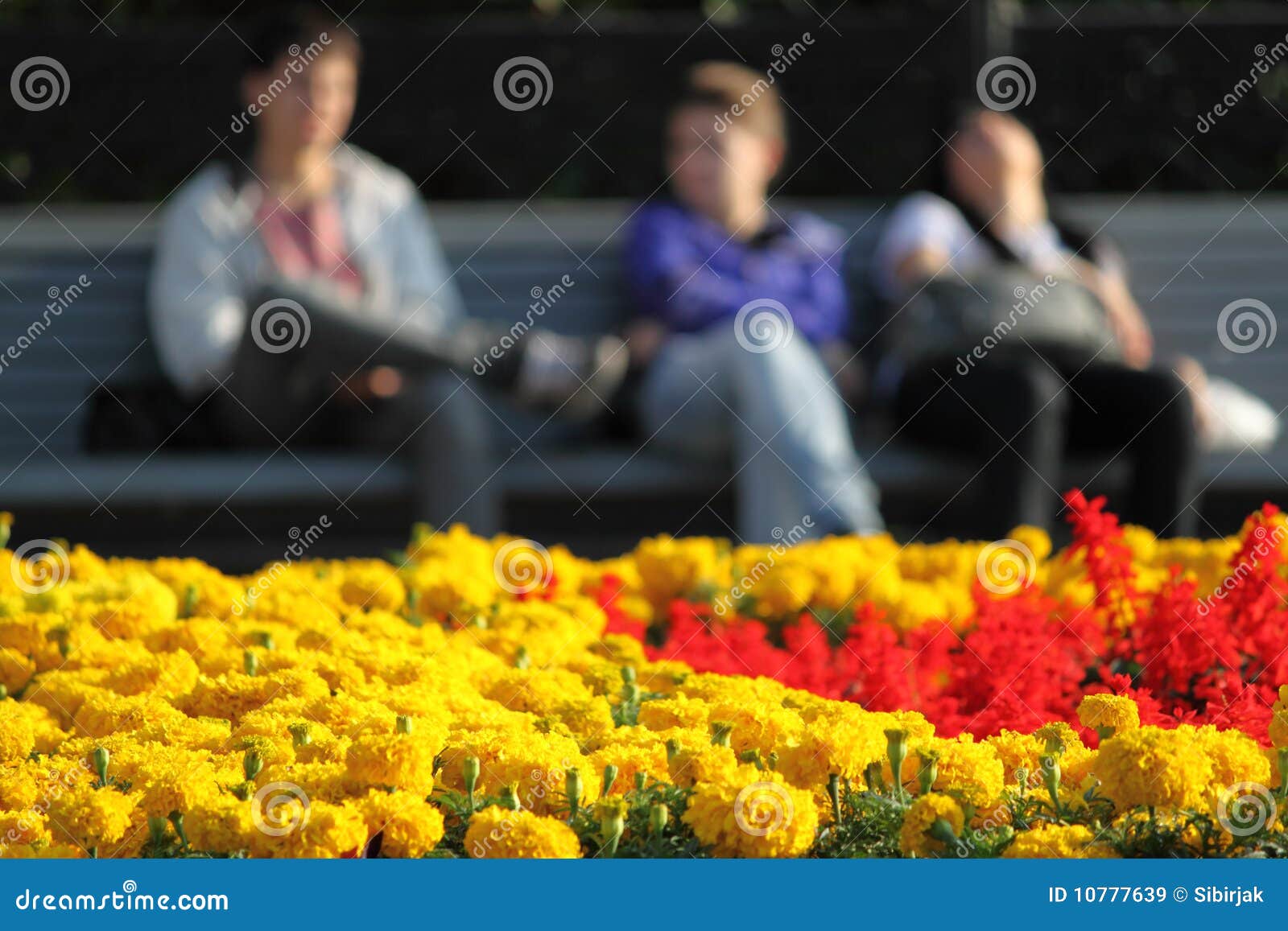 Rest in park stock image. Image of sunbathing, posing - 10777639
