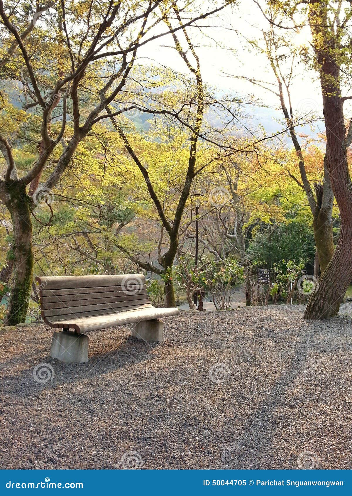 Rest in the park stock image. Image of wood, rest, pebble - 50044705