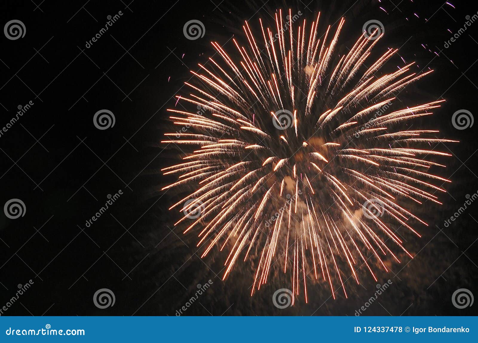 Holiday Fireworks in the Park. Stock Photo - Image of night, park ...