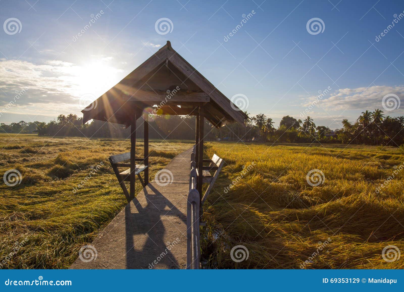 The Rest Pavilion and the Path Above the Rice Field Stock Image - Image ...