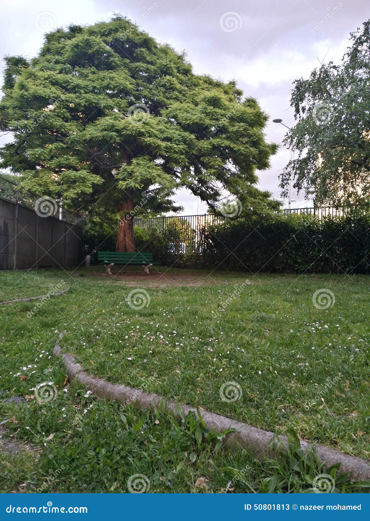 Rest place stock image. Image of tree, reading, place - 50801813