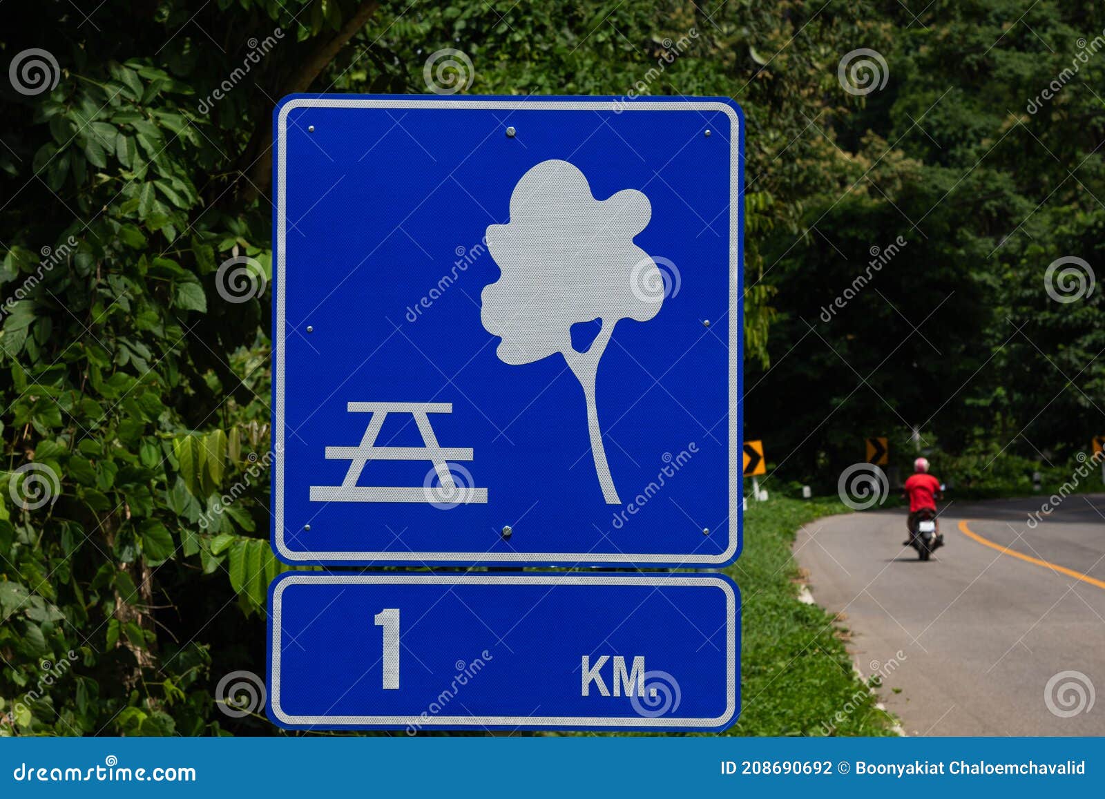 Rest Point Sign on Tree and Road Background Traffic Sign. Stock Photo ...